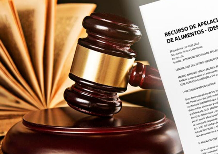 ¿Qué es una apelación judicial? — Grupo Casa Lima