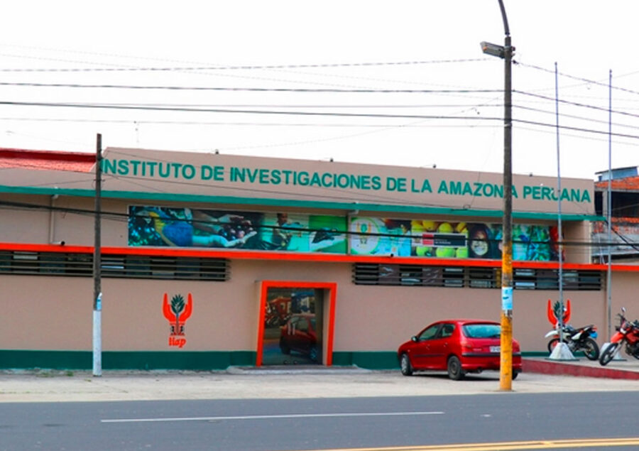 IIAP ¿Qué significa? — Grupo Casa Lima